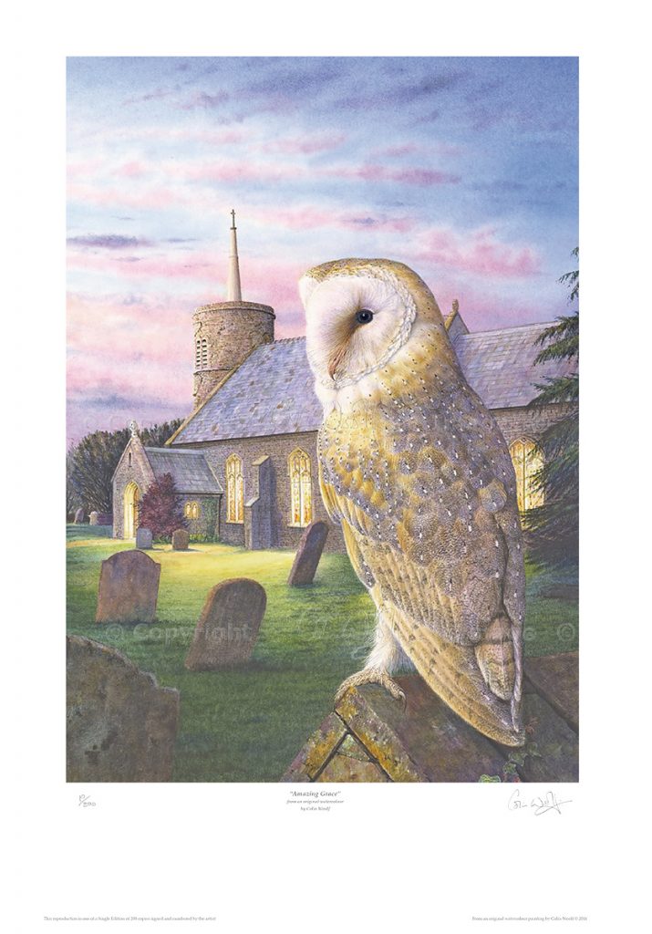 Amazing Grace – Colin Woolf Fine Art