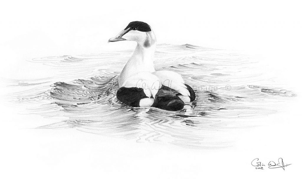 Contact – Colin Woolf Fine Art