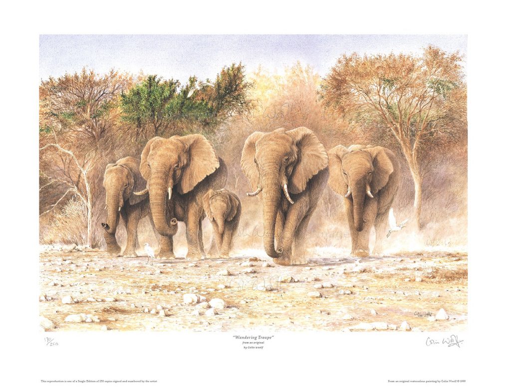Prints – Colin Woolf Fine Art