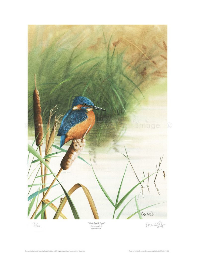 Prints – Colin Woolf Fine Art
