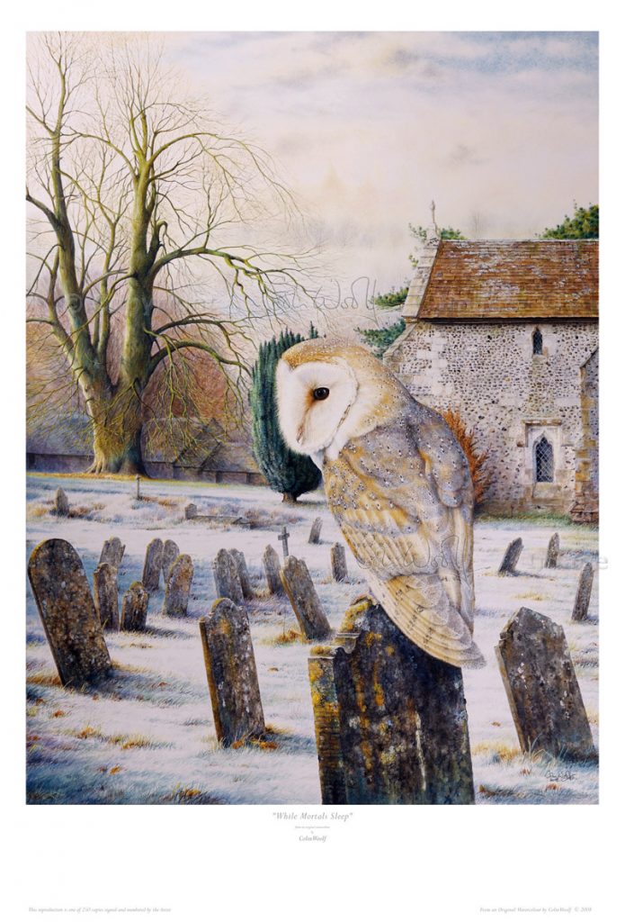 ‘While Mortals Sleep’ – Barn Owl Print – Colin Woolf Fine Art
