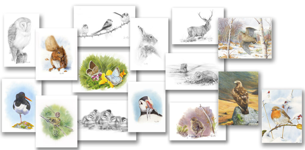 Greeting Cards – mixed – Colin Woolf Fine Art