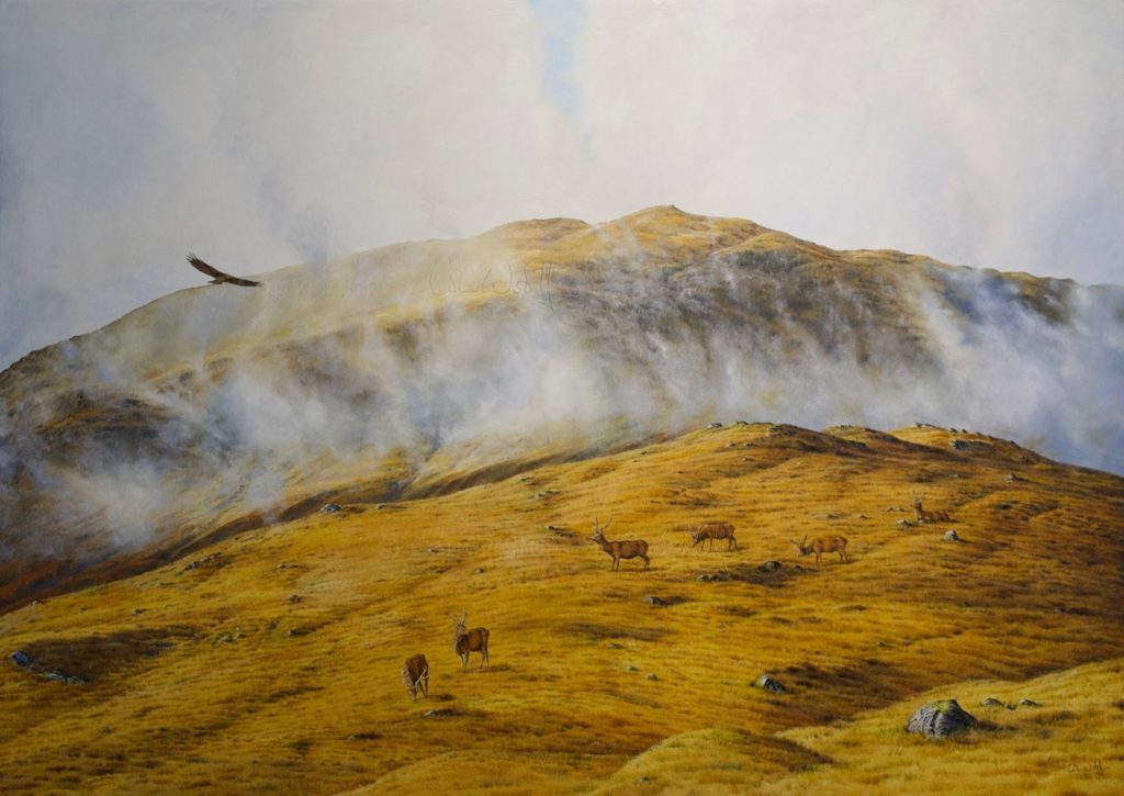 Oil Paintings – Colin Woolf Fine Art