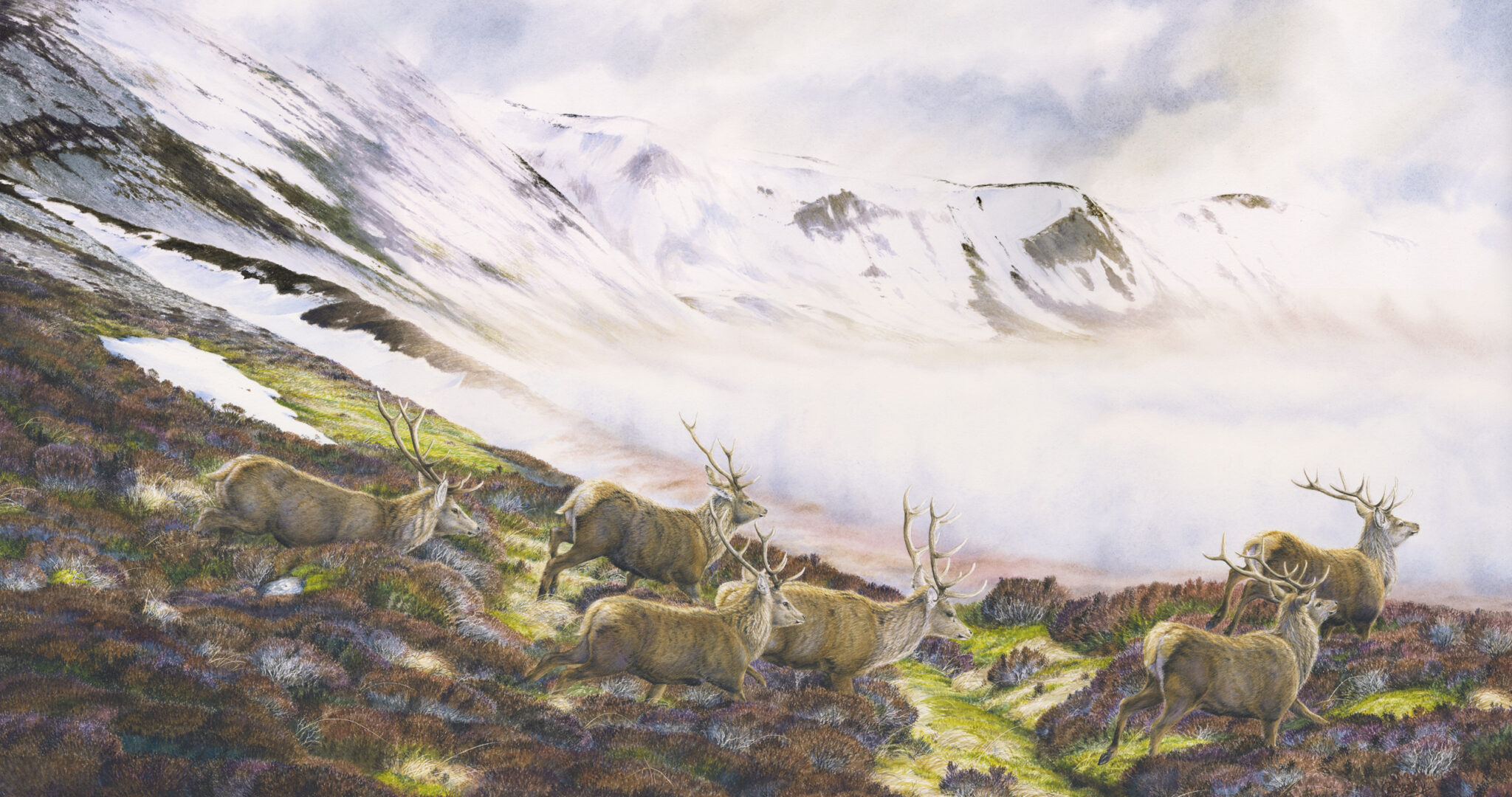 Commissions – Colin Woolf Fine Art