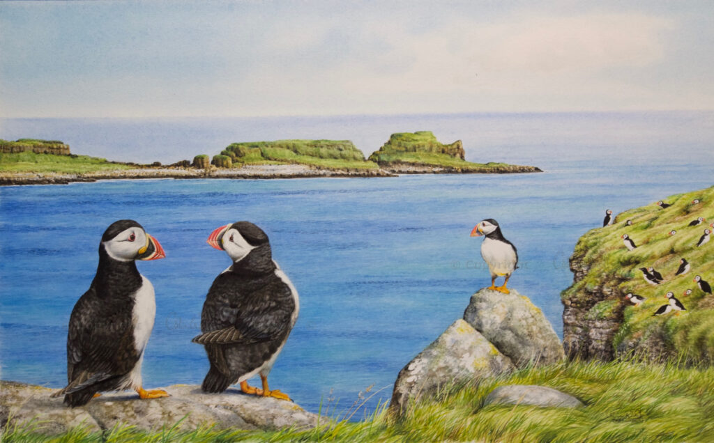 Watercolours – Colin Woolf Fine Art
