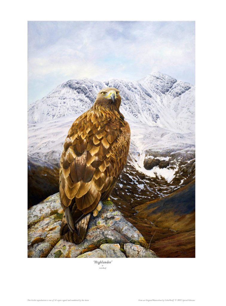Prints – Colin Woolf Fine Art
