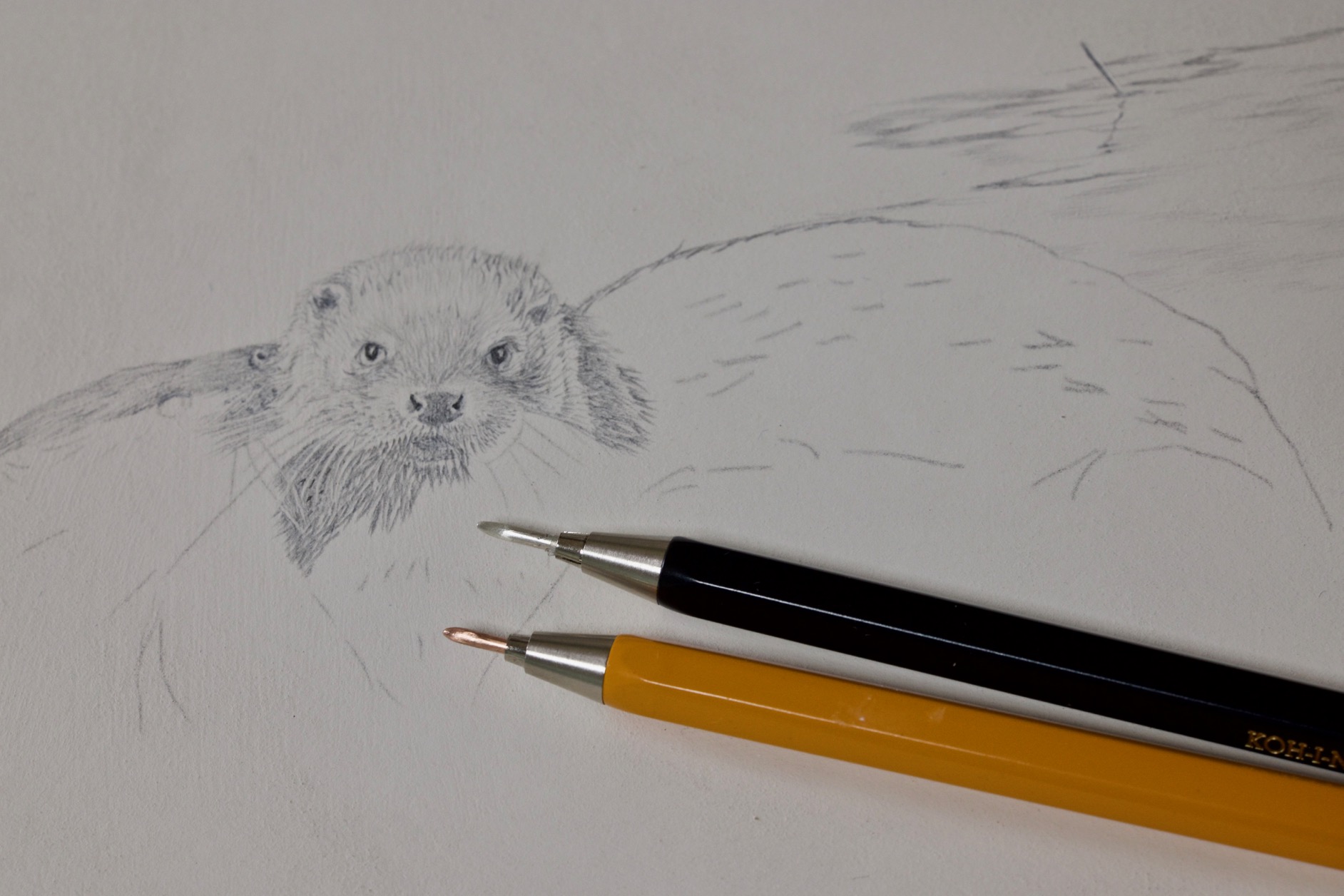 Silverpoint Drawing – Colin Woolf Fine Art