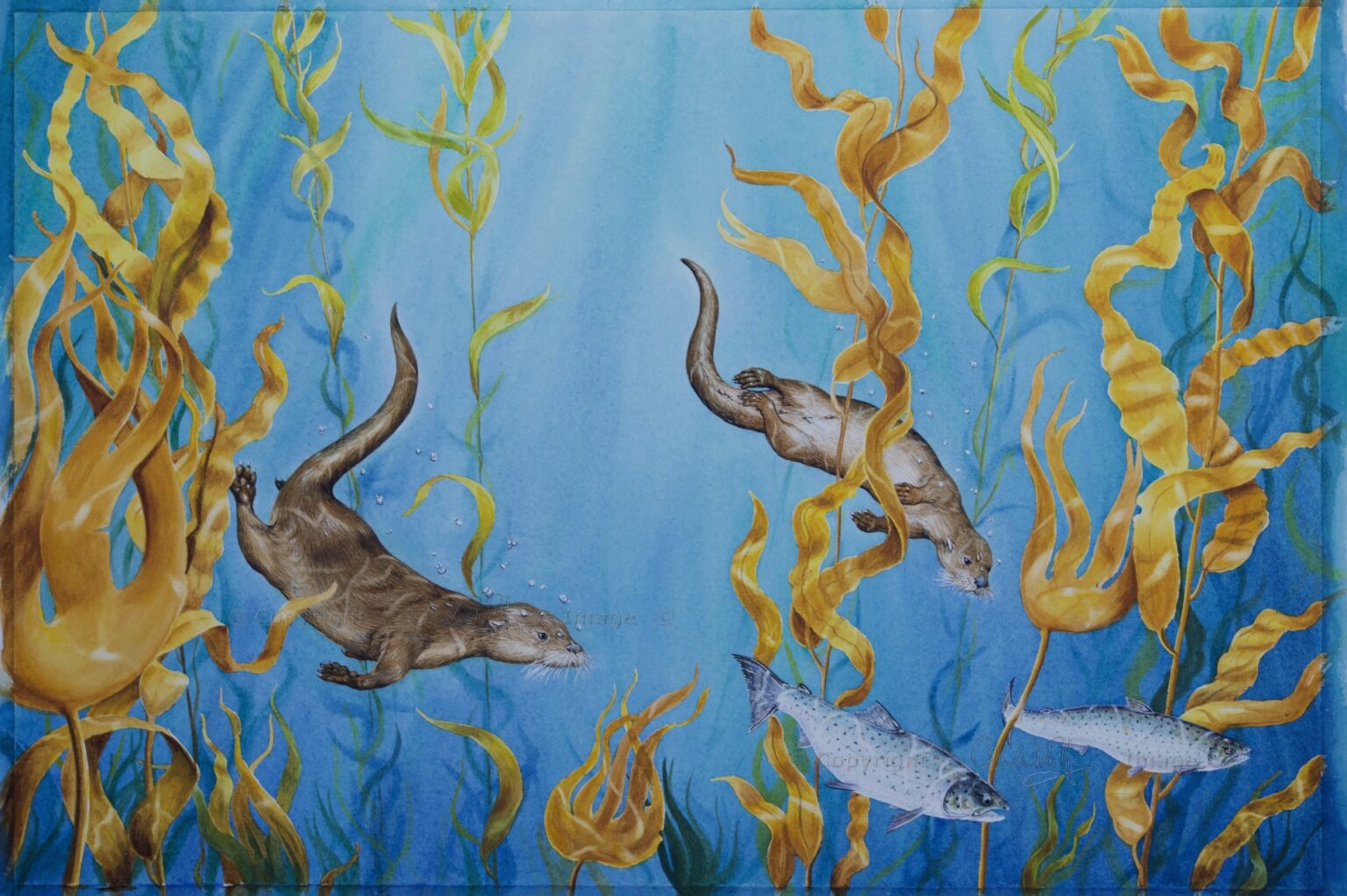 Watercolours – Colin Woolf Fine Art