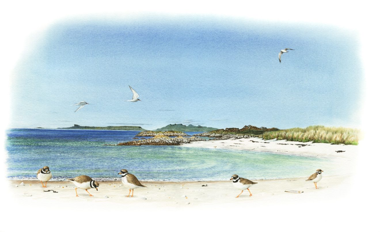 Watercolours – Colin Woolf Fine Art