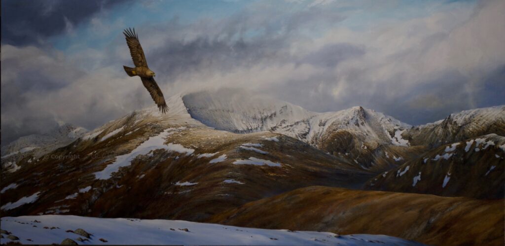 Oil Paintings – Colin Woolf Fine Art