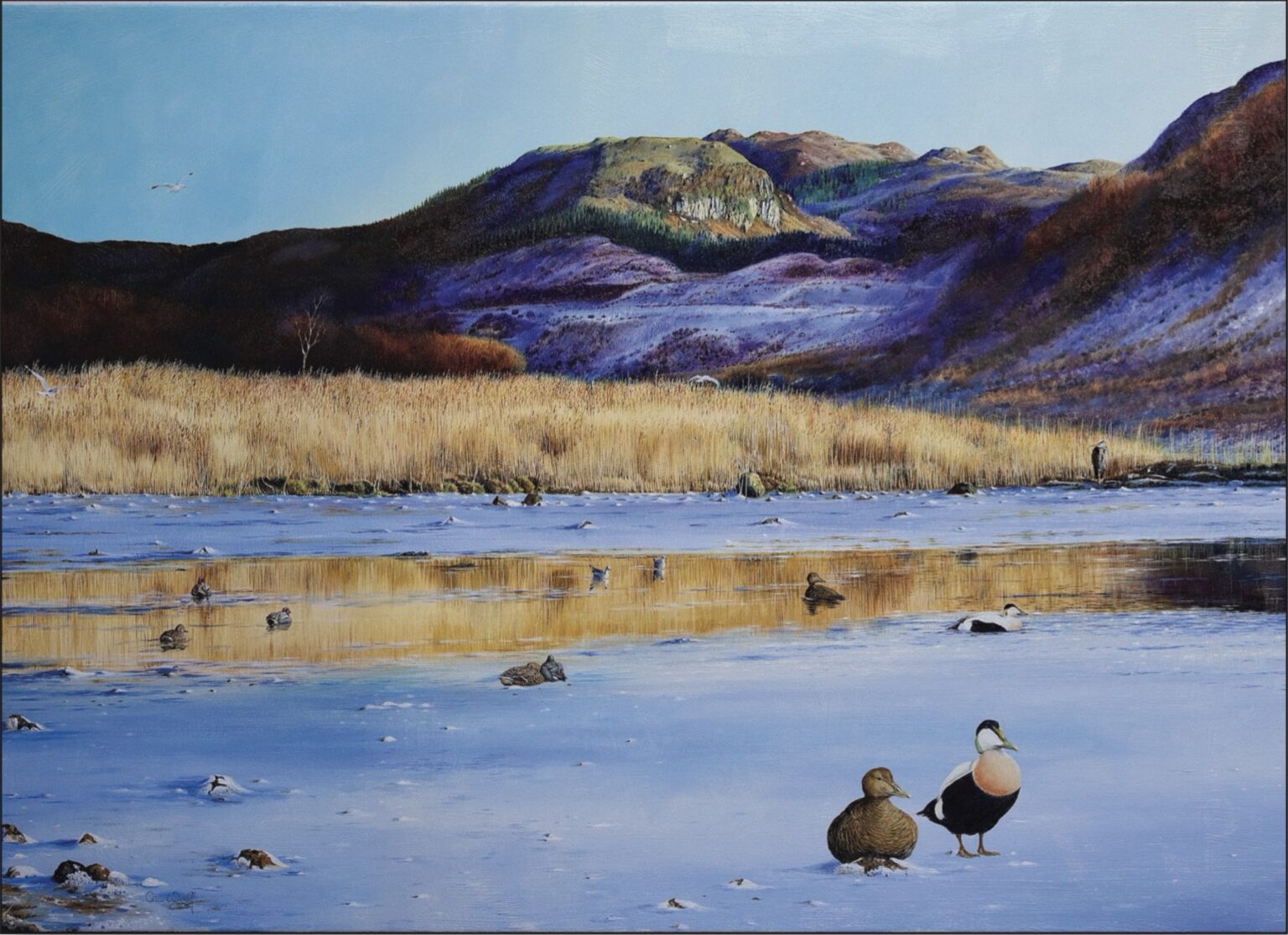 ‘Winter Haven’ Christmas cards 2025 – Colin Woolf Fine Art